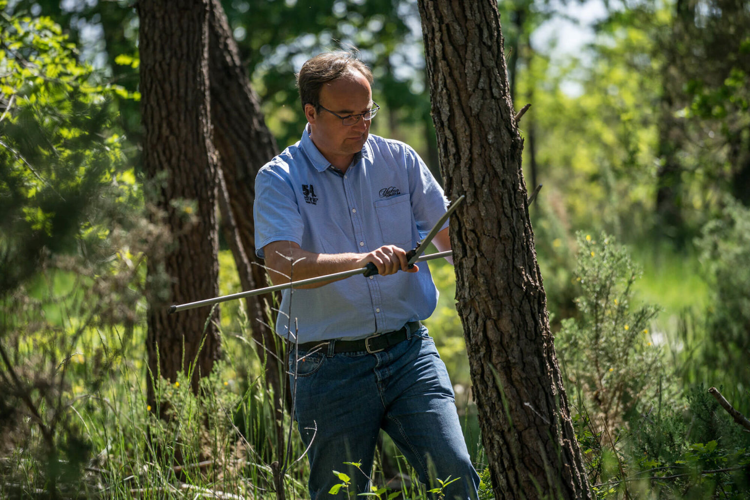 Service de cubage, marquage et commercialisation d'arbres - AGEF