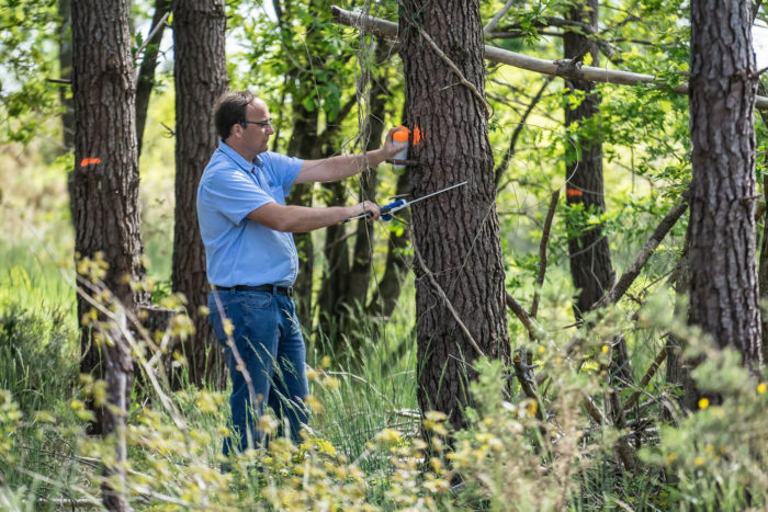 Service de cubage, marquage et commercialisation d'arbres - AGEF